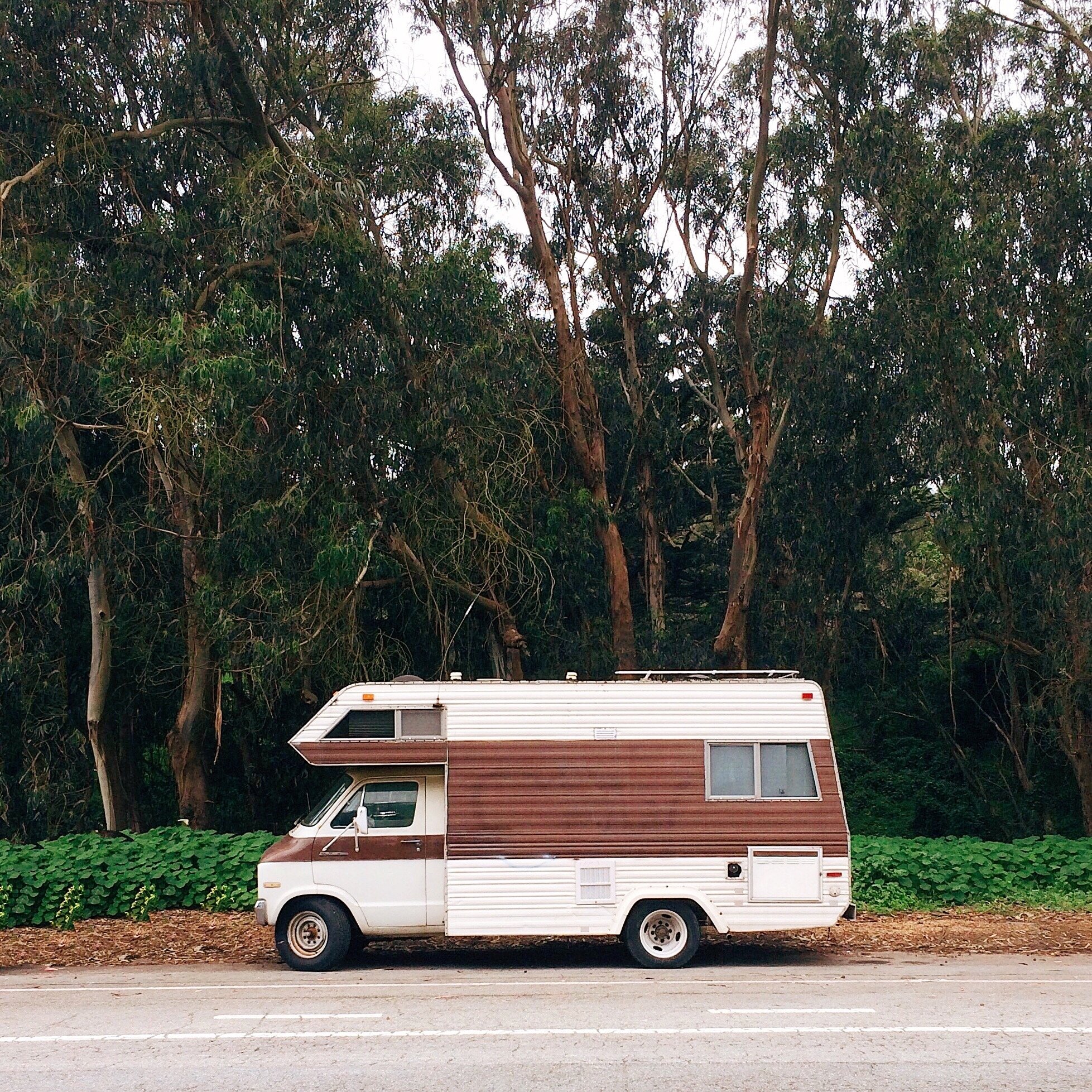 Do You Know the Winnebago Man? - Nomadic News