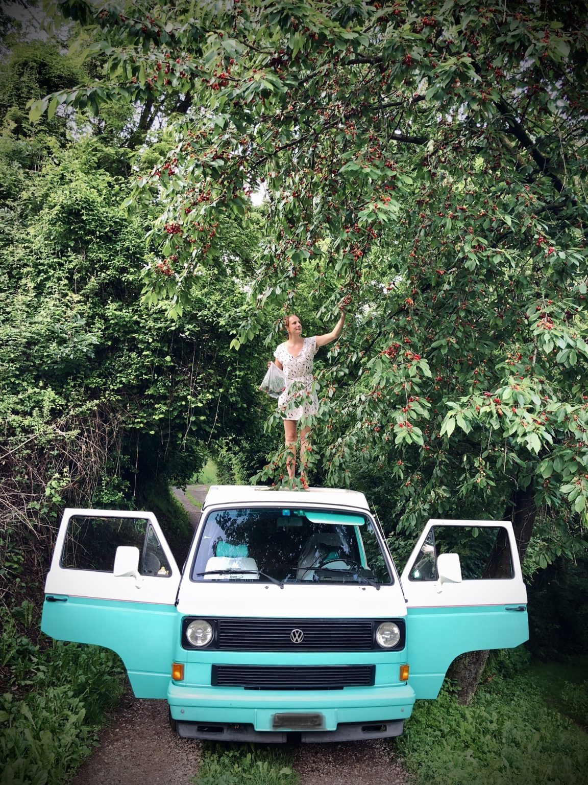 The VW Vanagon Is an Iconic Road Trip Van - Nomadic News