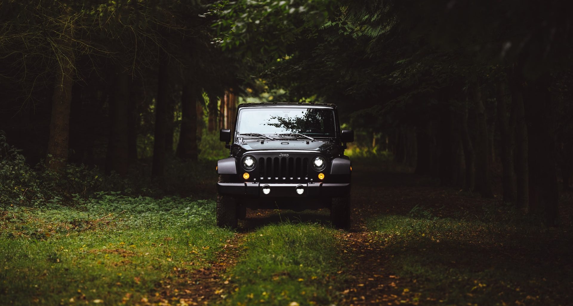 Who Is Hourless Life? - Nomadic News