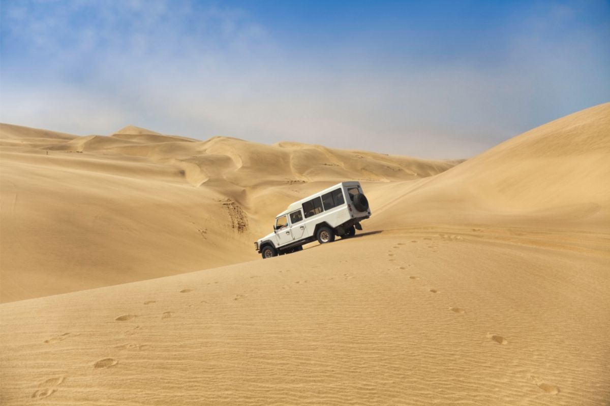 Skeleton Coast: What's the Story Behind This Ship Graveyard?
