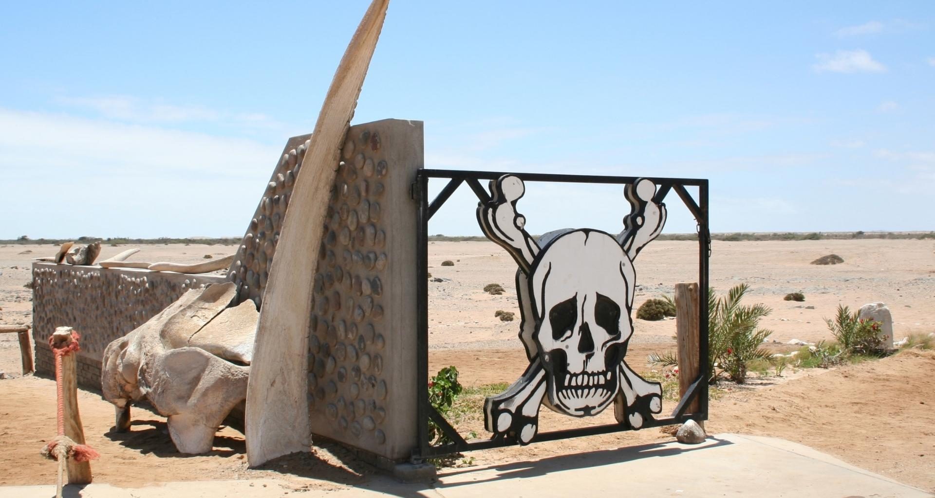 Skeleton Coast: What's the Story Behind This Ship Graveyard?