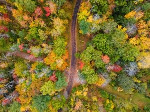 Your Guide to a Stunning Fall Foliage Road Trip — Maine 2022