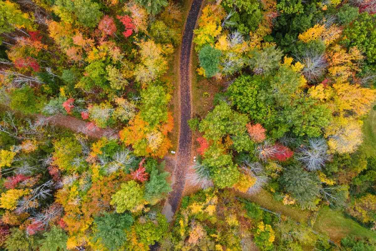 Your Guide to a Stunning Fall Foliage Road Trip — Maine 2022