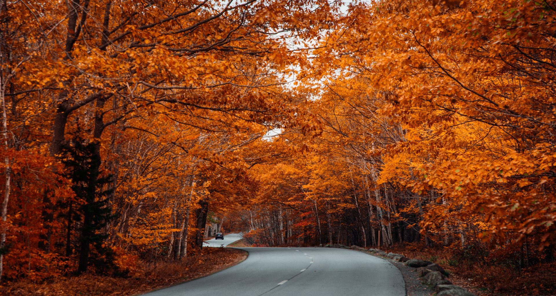 Your Guide to a Stunning Fall Foliage Road Trip — Maine 2022