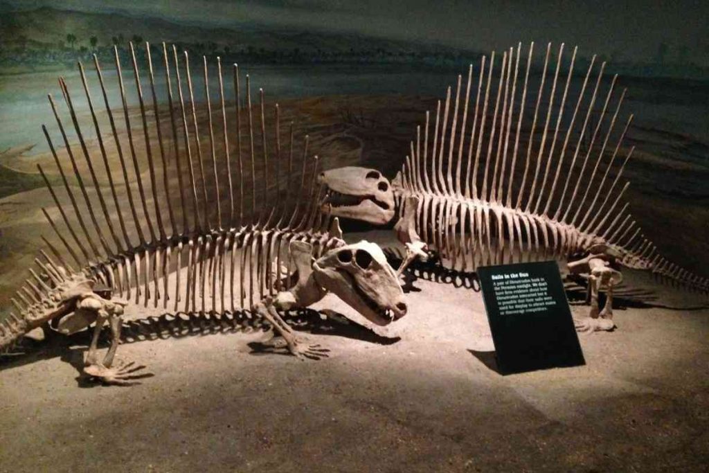 10 Best Places to See Dinosaur Fossils and Footprints in America