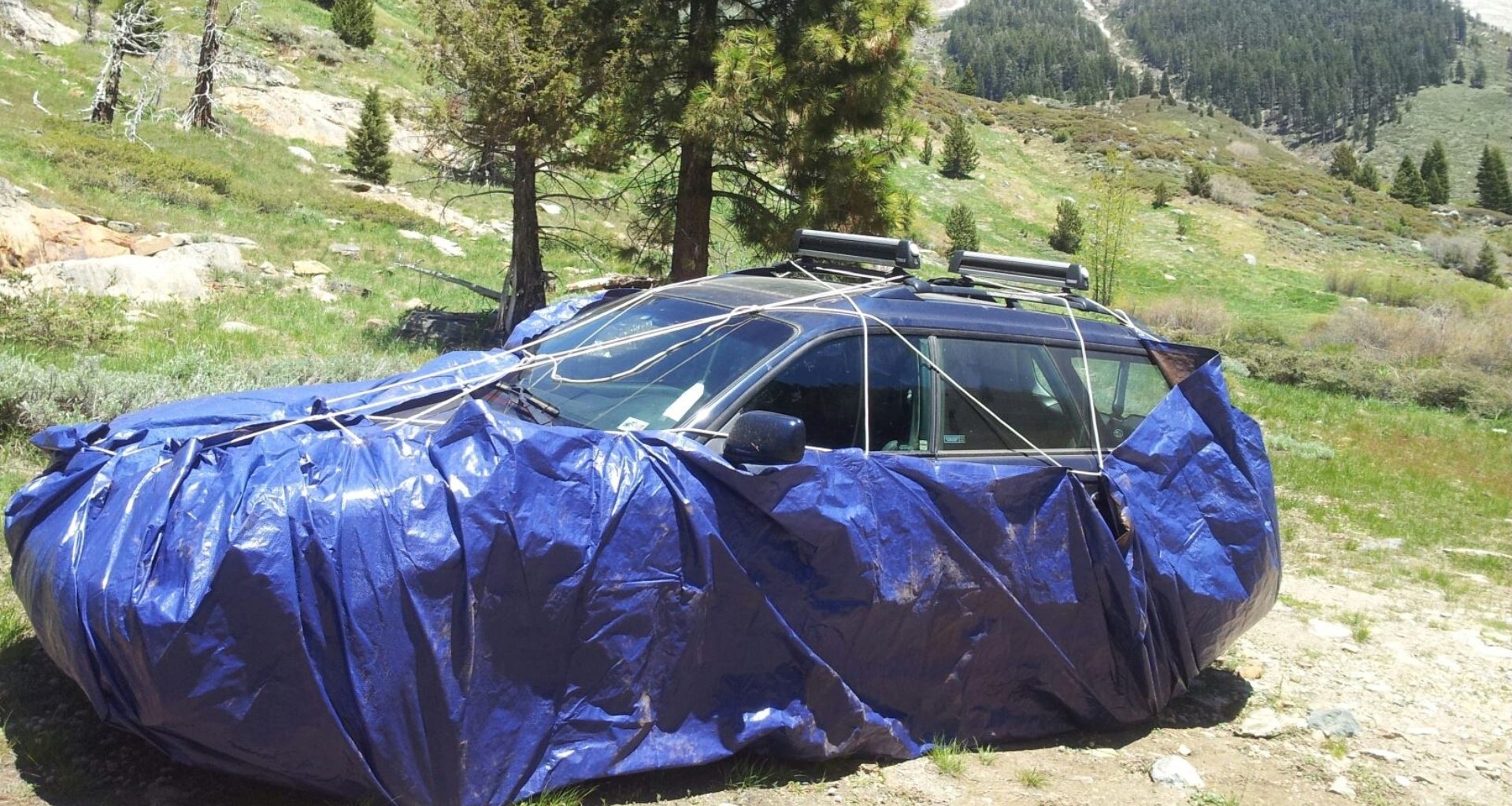 Why Are People Wrapping Their Cars With Chicken Wire? - Nomadic News