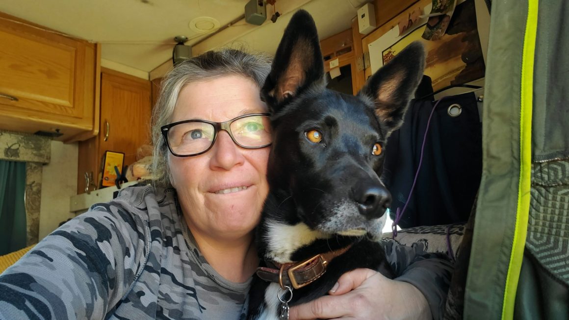 Who Is Carolyn's RV Life? - Nomadic News