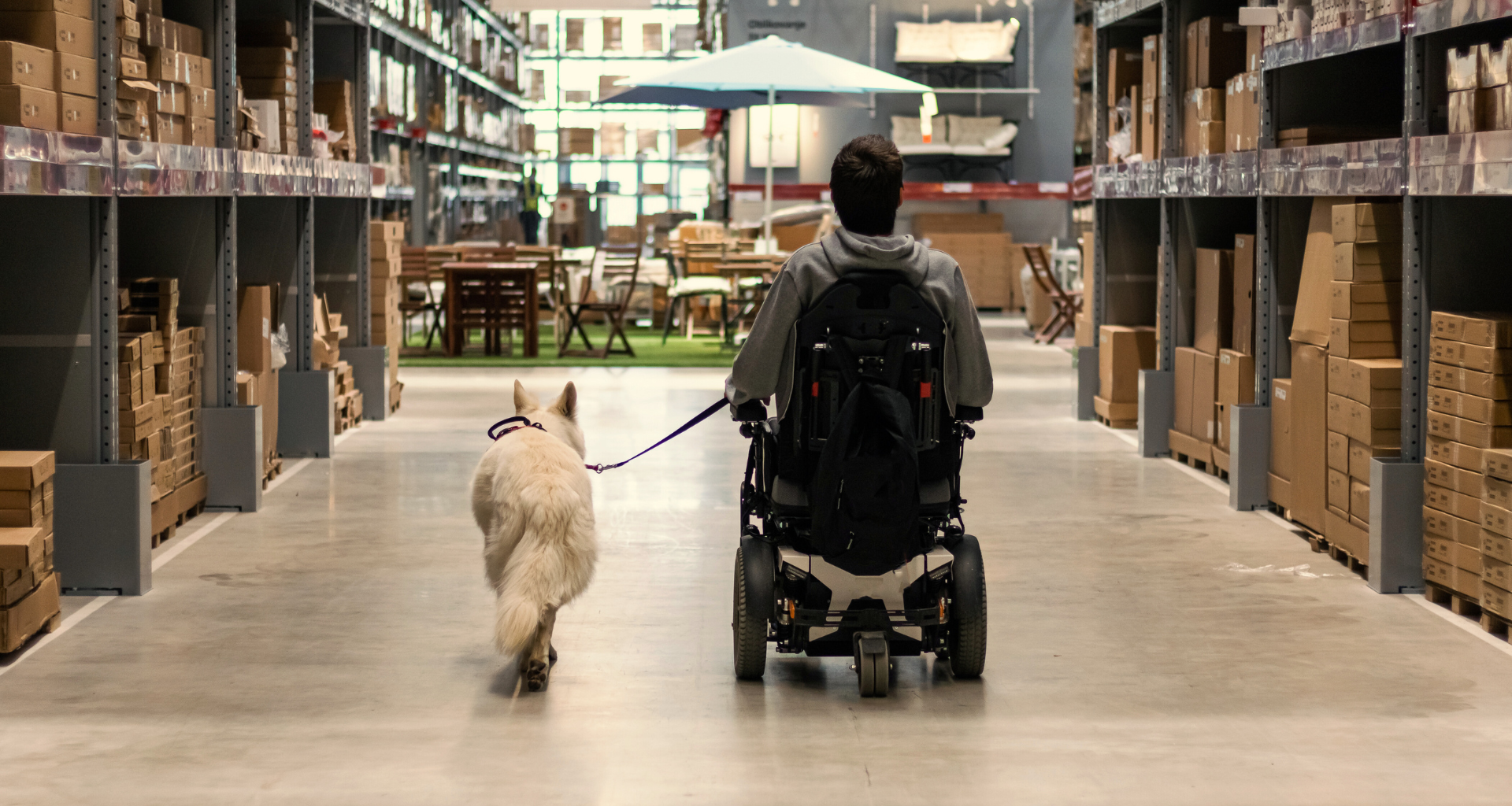 Service Animal Policy Abuse Undermines Legitimate Needs - Nomadic News