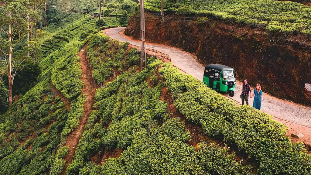 Who Is The Endless Adventure? - Nomadic News