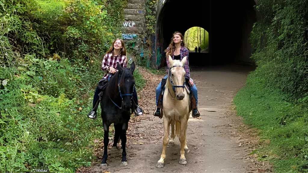 The Cool History Behind the Moonville Tunnel - Nomadic News